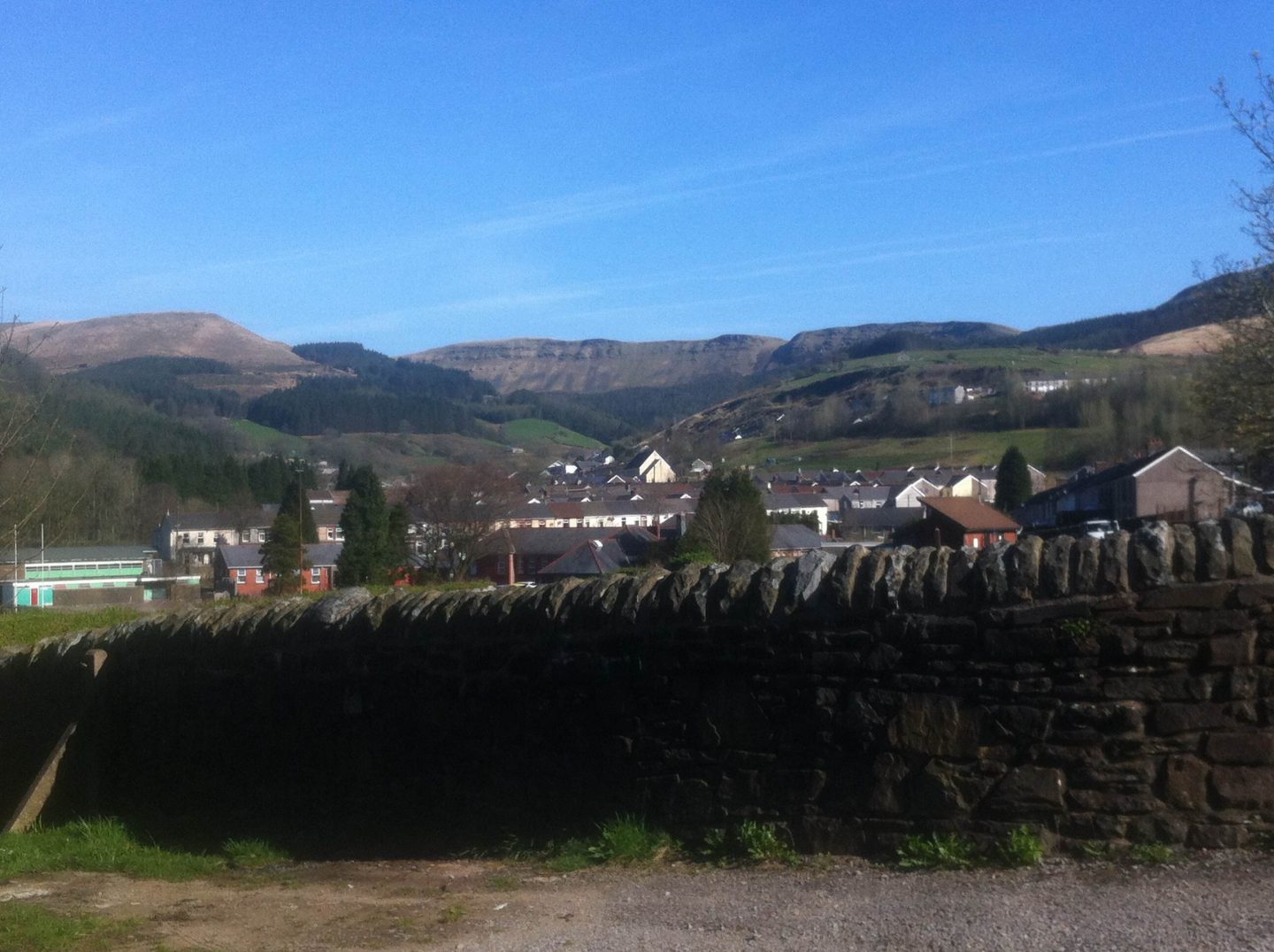 Spring in Nant-y-Moel: A Poem for The Sprout | TheSproutTheSprout