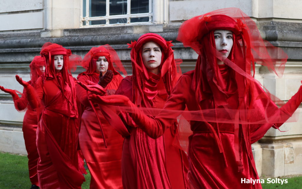 Who are the Red Rebels? | TheSprout