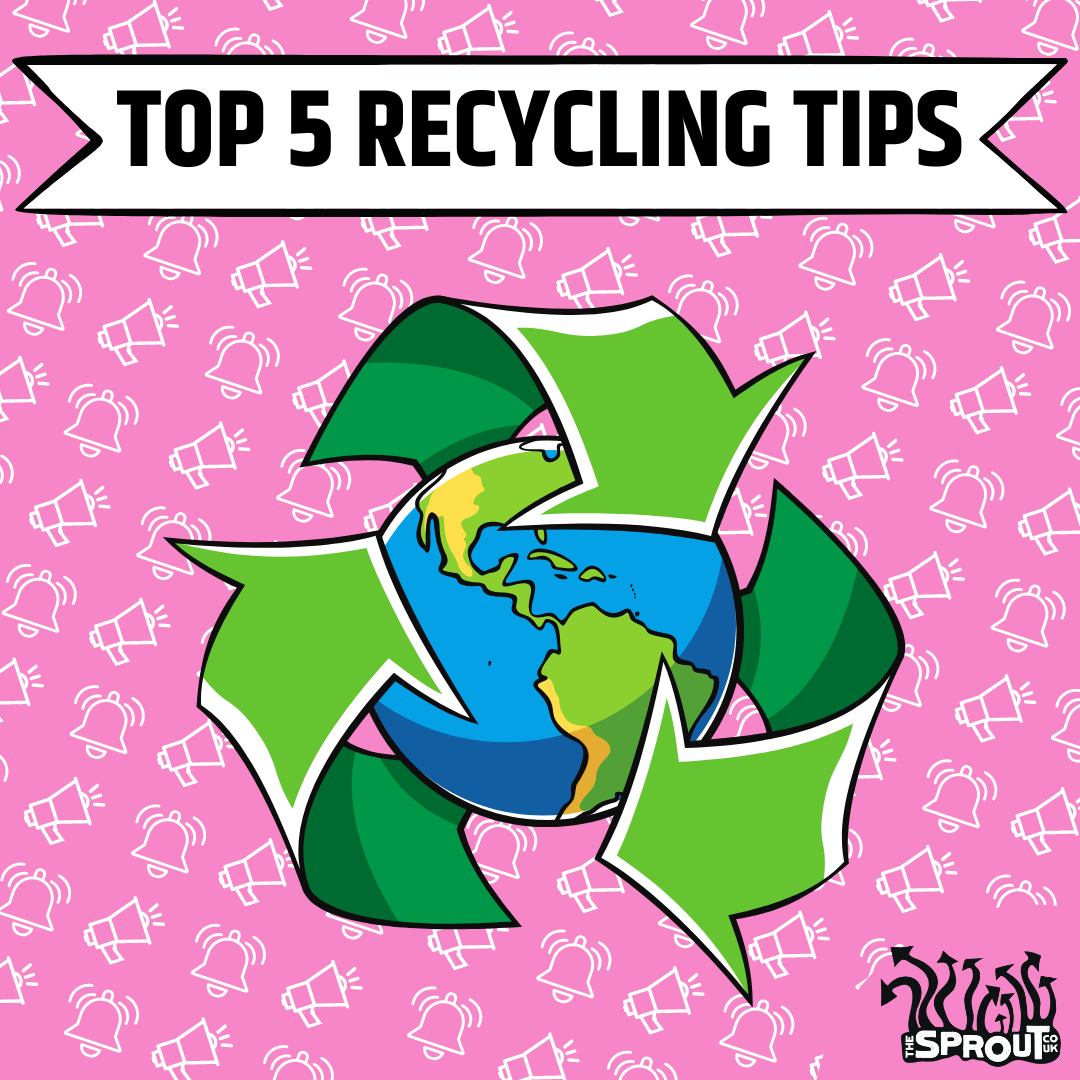 Top Recycling Tips For Students in Cardiff | TheSproutTheSprout