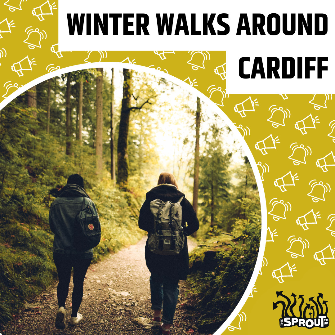 The Best Places To Walk In Cardiff | TheSproutTheSprout