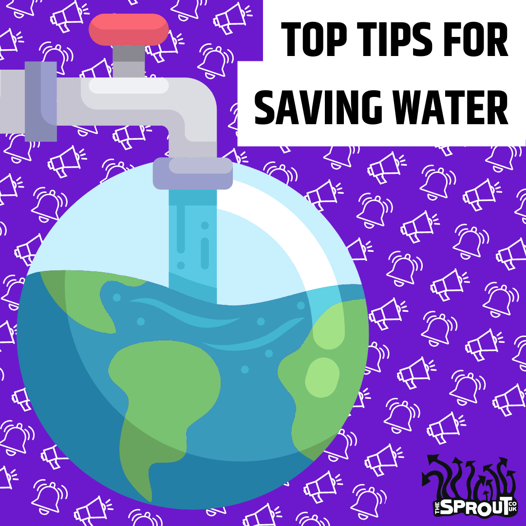 Ultimate Guide To Saving Water | TheSproutTheSprout