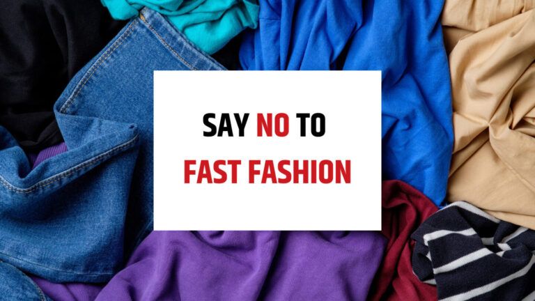 Ethical, Social, and Environmental Problems with Fast Fashion ...