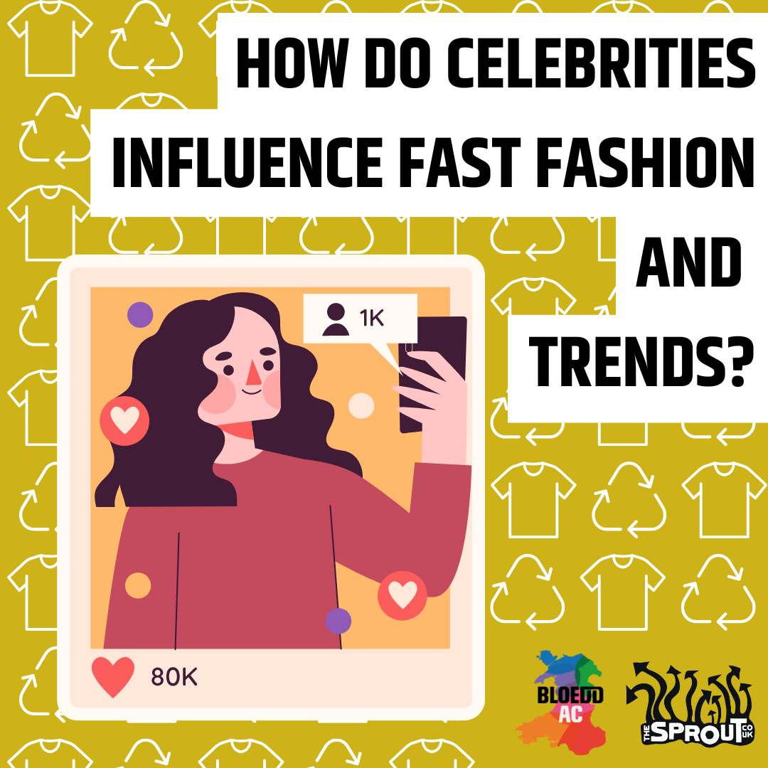 Celebrity Influence on Fast Fashion and Trends | TheSprout